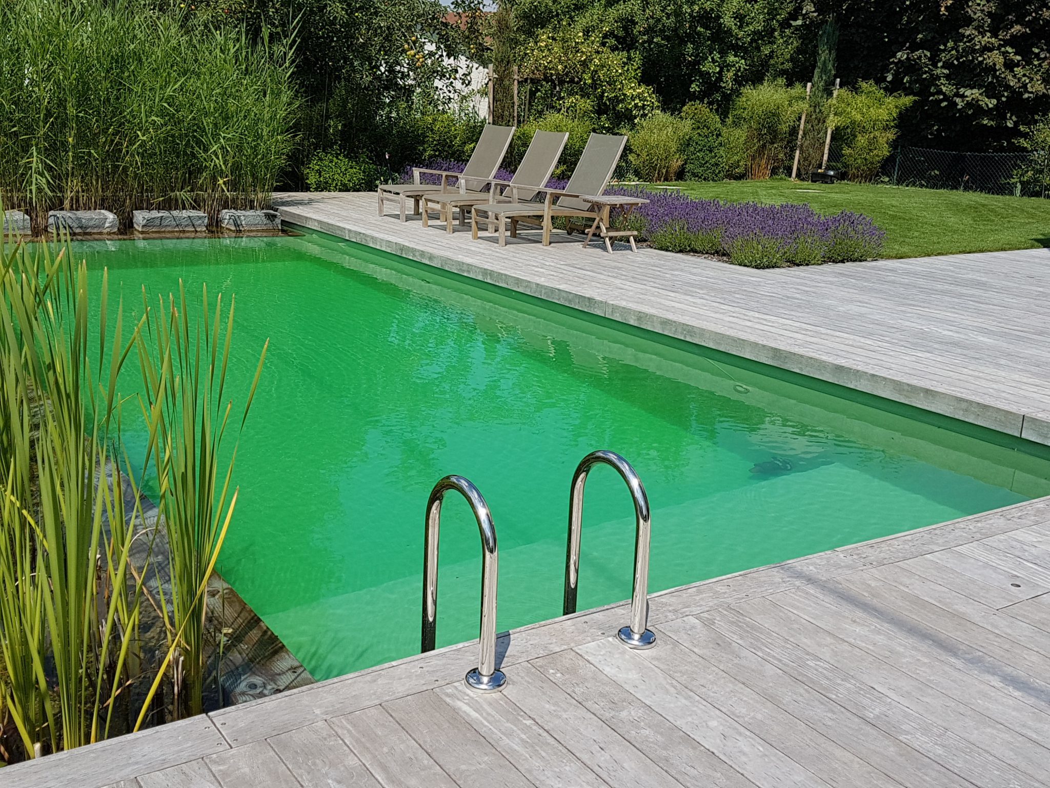 Bio-Naturpool mit Pflanzen | weis natur+raum Gartenpflege und ...